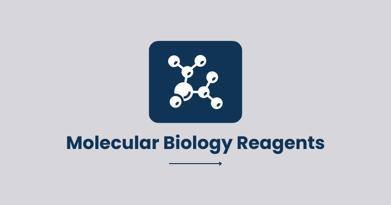 Molecular Biology Reagents – DSS Takara Bio