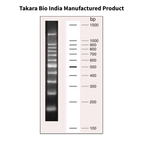 100 bp DNA Ladder – DSS Takara Bio