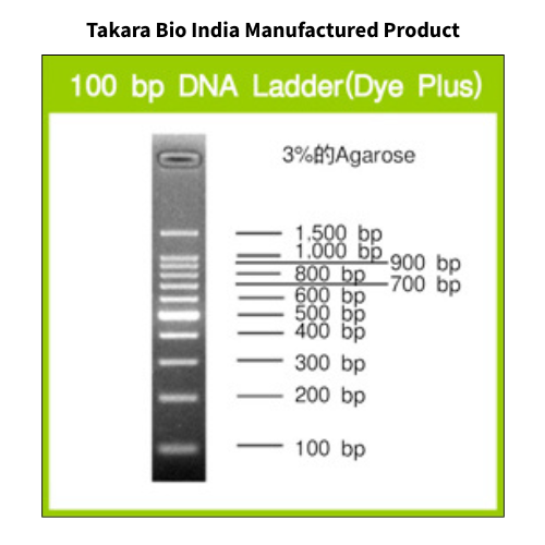 100 bp DNA Ladder (Dye Plus) – DSS Takara Bio
