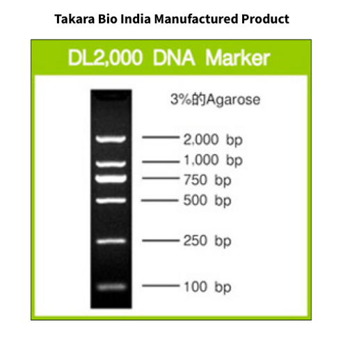 DL2,000 DNA Marker – DSS Takara Bio