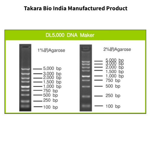 DL5,000 DNA Marker – DSS Takara Bio