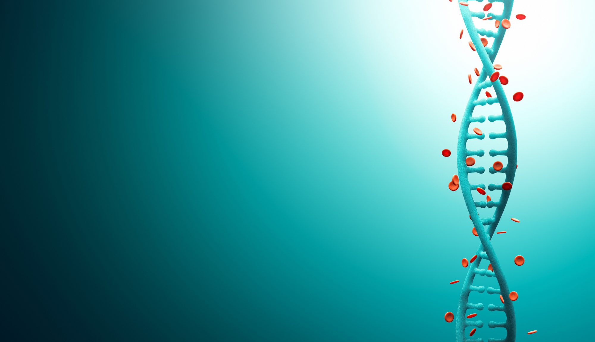 DSS Takara Bio India Pvt. Ltd.: Empowering Indian Scientific Research