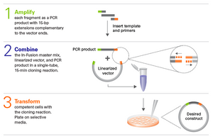 In-Fusion® HD Cloning Kit – DSS Takara Bio