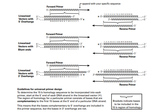In-Fusion® HD Cloning Kit – DSS Takara Bio