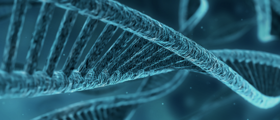 Molecular Biology Reagents – DSS Takara Bio